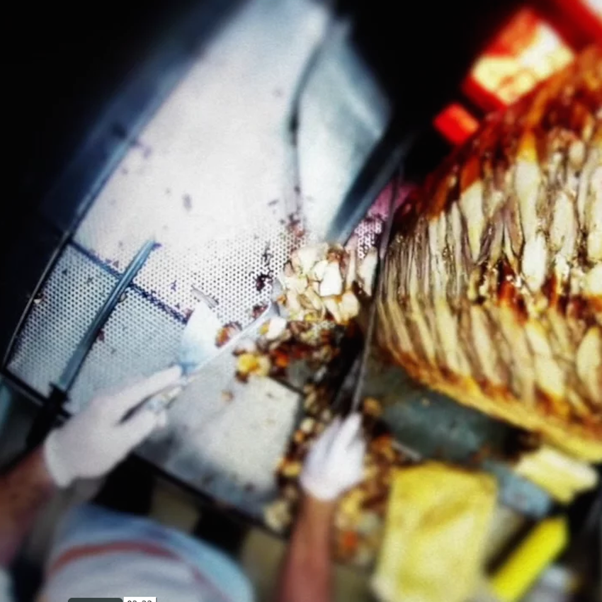 Image In Motion | OUR PORTFOLIO